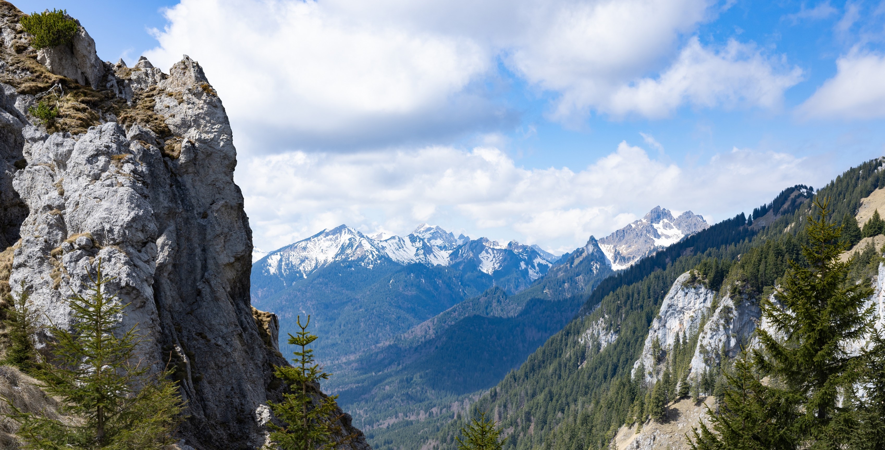 Nachhaltige Versicherungen und Vorsorge ⇒ Pangaea Life