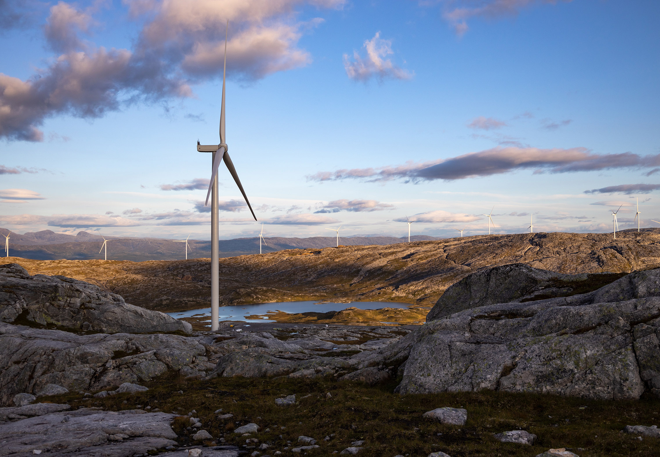 Blue Perspectives ⇒ Pangaea Life